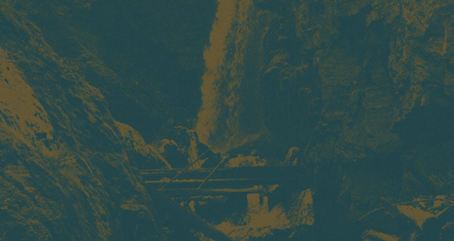 Cannabis Tinctures: Alcohol vs Oil Tinctures - MOSS CROSSING