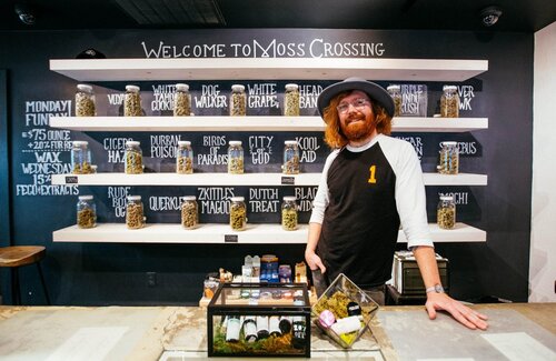 Press & Awards | Award-Winning Cannabis - Moss Crossing